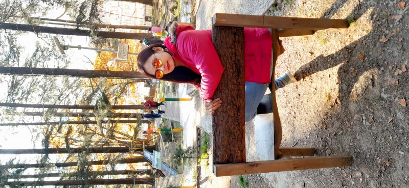 Mrs Saharanpur 2022 (G-1) Monika Saini